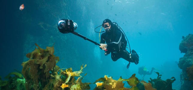Underwater 360 Degree Camera from Boxfish Shoots 5K Video -- Campus ...